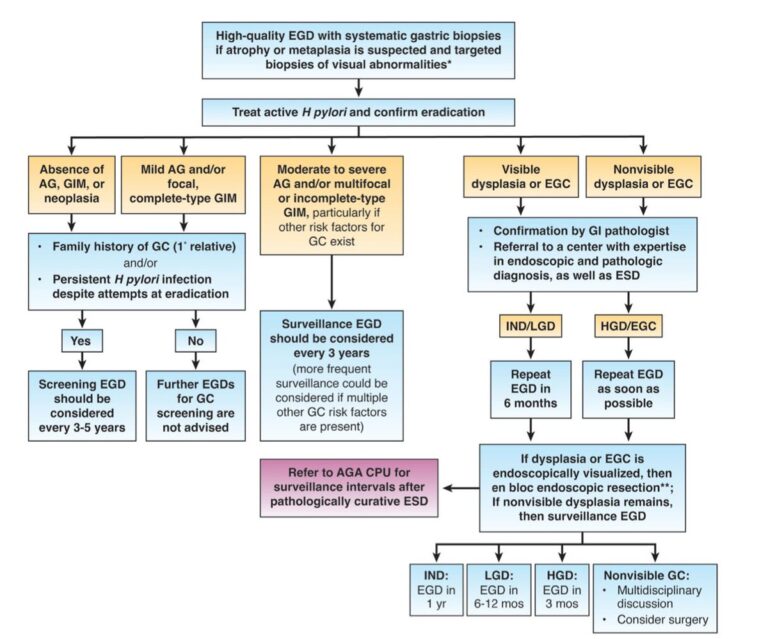 Gastric cancer: The role of gastric intestinal metaplasia