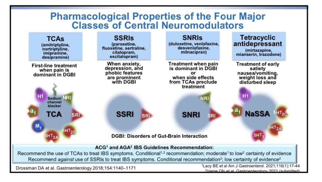 Ευερέθιστο έντερο (σπαστική κολίτιδα): Πλήρης οδηγός!