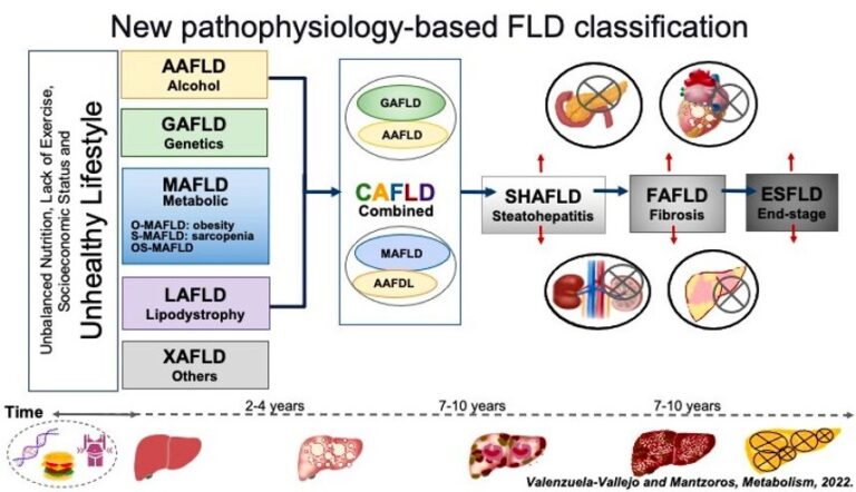 Nonalcoholic fatty liver disease (NAFLD): 10 Tips!