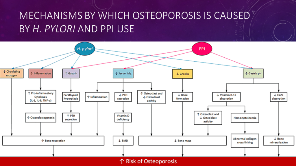 Helicobacter pylori and osteoporosis