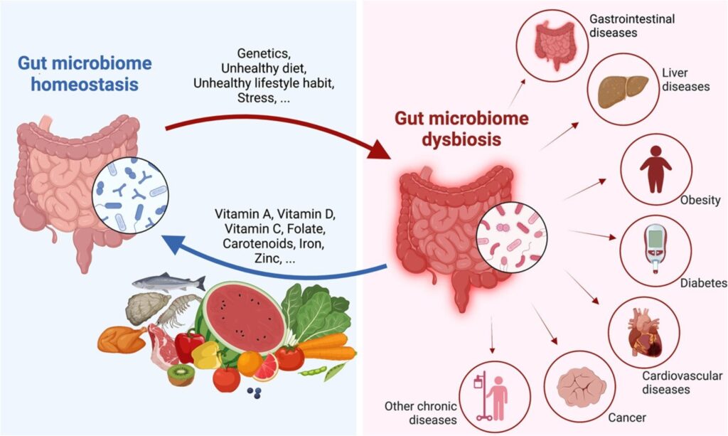 Probiotics: Health benefits and potential risks!
