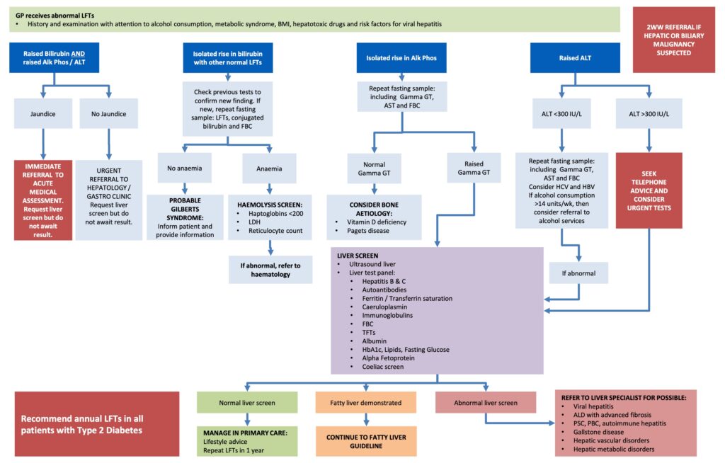 Liver Function Tests (LFTs)