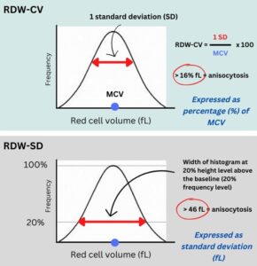 RDW: Εύρος κατανομής ερυθρών αιμοσφαιρίων