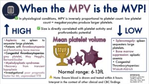MPV: Μέσος όγκος αιμοπεταλίων